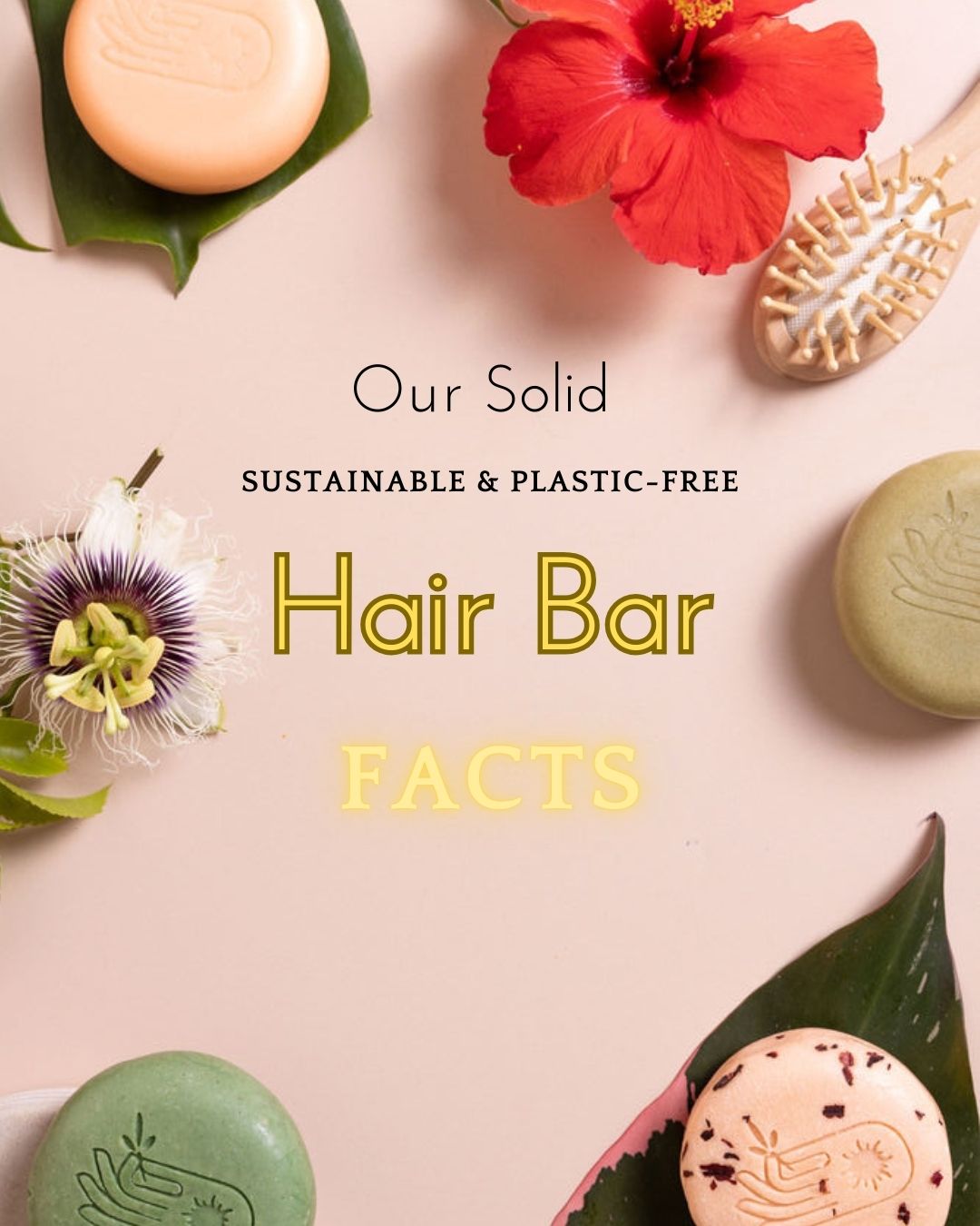 Isla Mudra Hair Bars Facts ~ Answers to FAQs About Our Sustainable & P