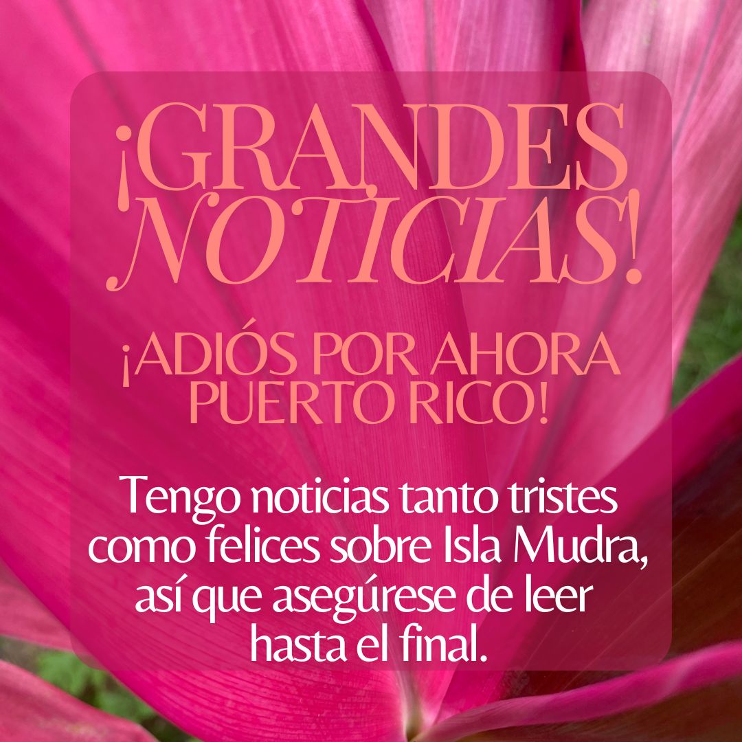 Adiós por ahora Puerto Rico ~ ¡Grandes noticias! – Isla Mudra